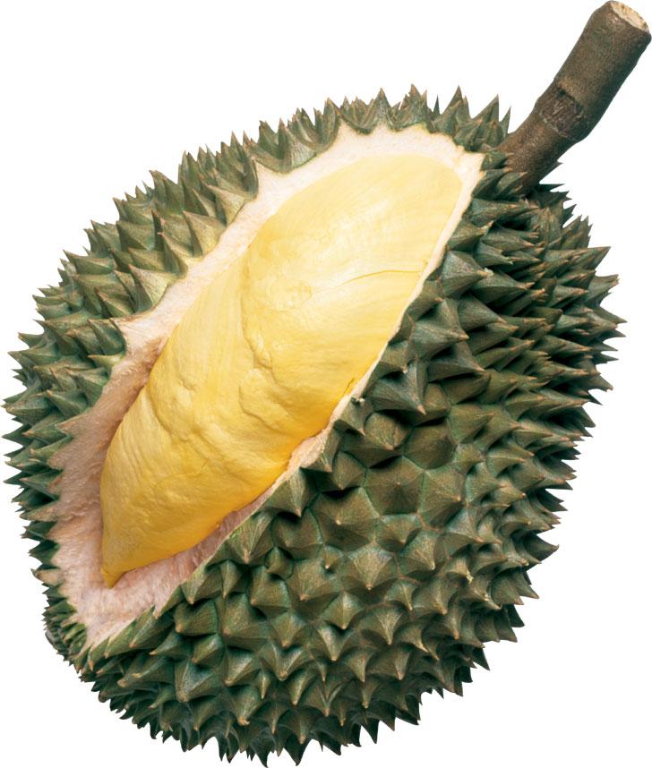 10 Fakta Menarik Mengenai Durian Yang Anda Tidak Tahu!