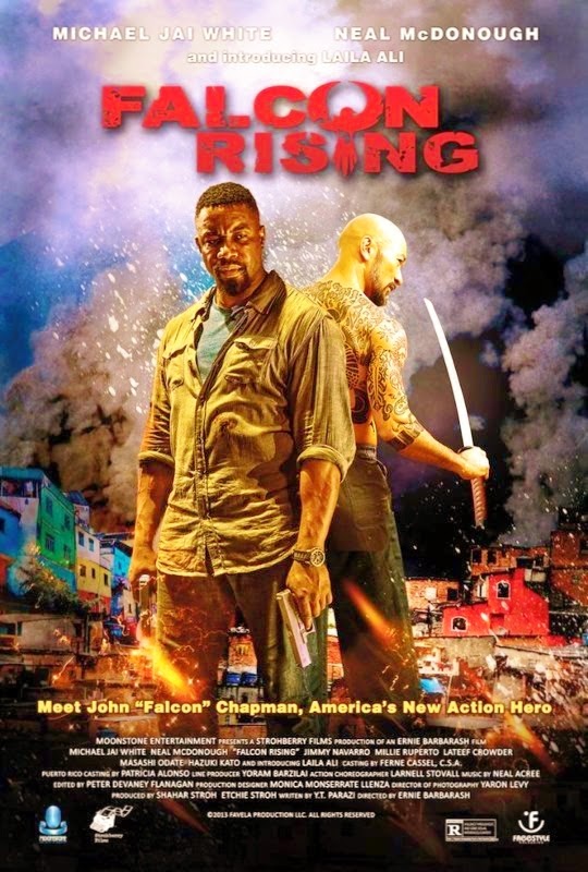Top Filme Prisaca City: FALCON RISING