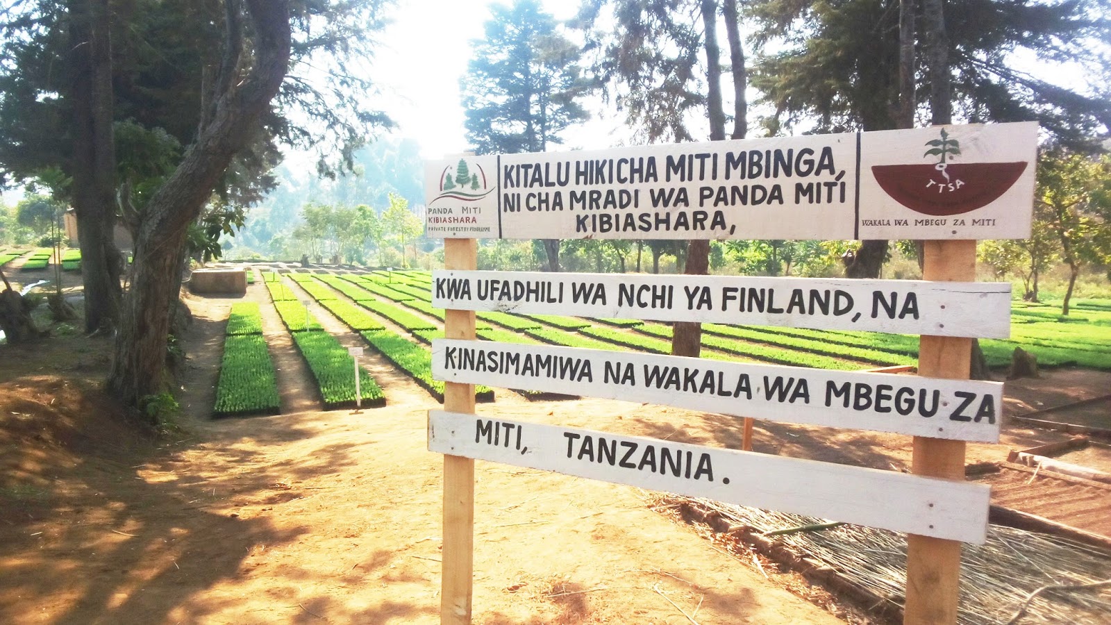 GWIJI LA MATUKIO RUVUMA: MRADI PANDA MITI KIBIASHARA KUWANUFAISHA ...