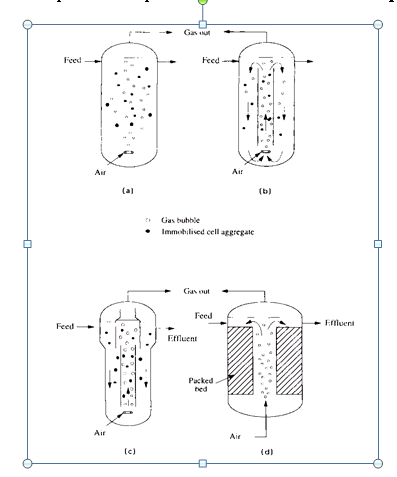 Chemical Engineering Notes - Bio-Reactors