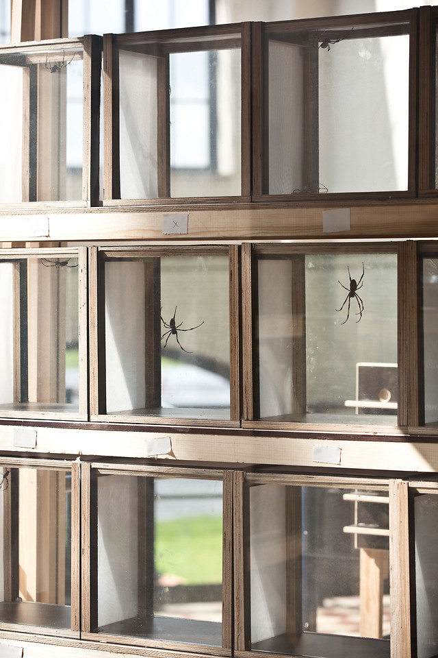 World Markets Simplified: SpiderFarm, a Biofactory produces spider silk ...