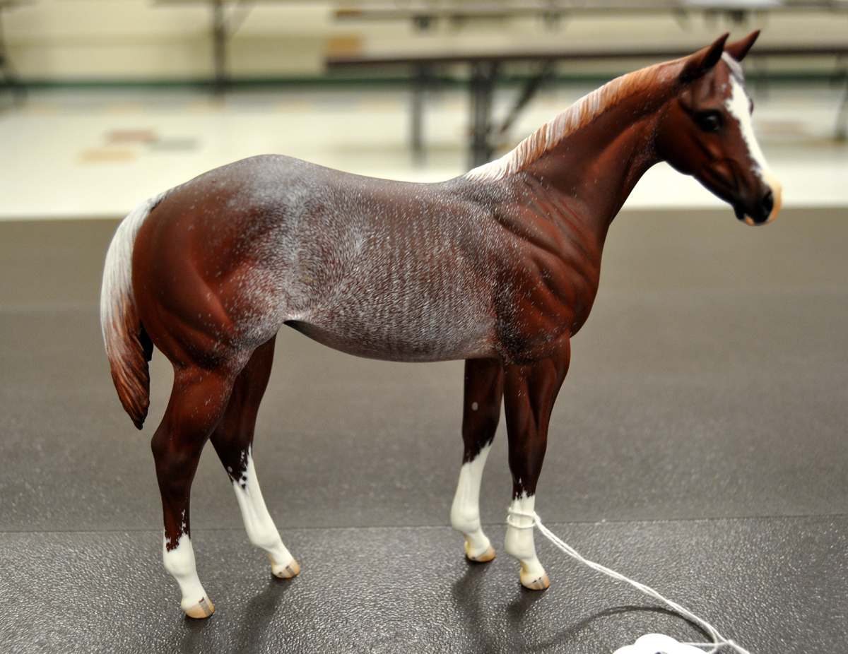 Life in Melbourne, Australia: What Color?