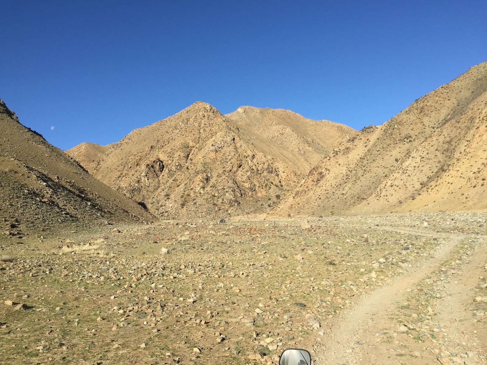 The Deskbound Birder: Mongolia - 16th May (Day 9) - Ikht Bogd Uul and ...