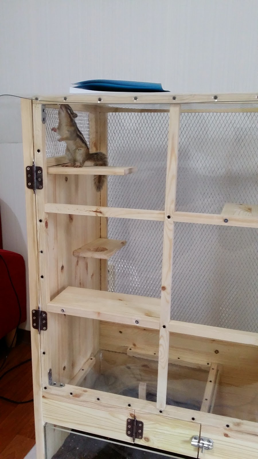[DIY] 다람쥐 집 확장 (Extend Chipmunk Cage)