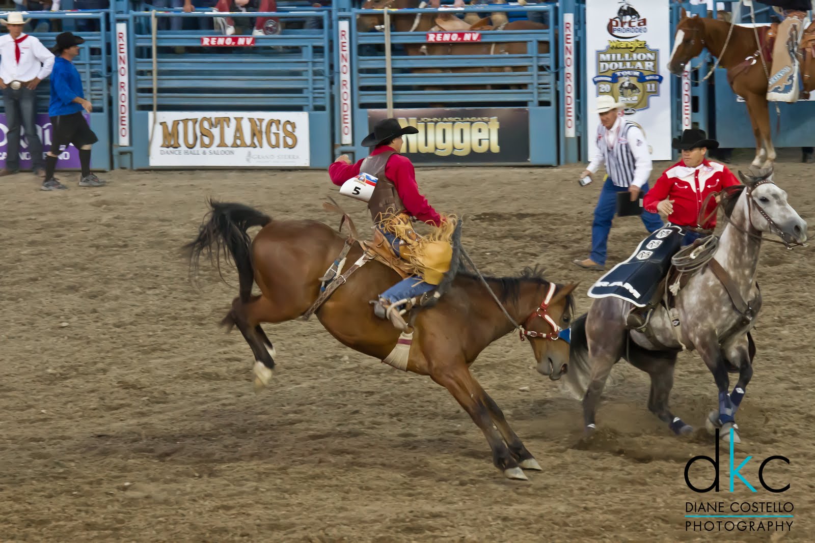 Diane K. Costello Photography: Reno Rodeo 2011