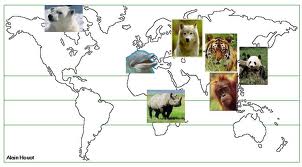 les élèves parlent: LES ANIMAUX EN VOIE DE DISPARITION (3º ESO)