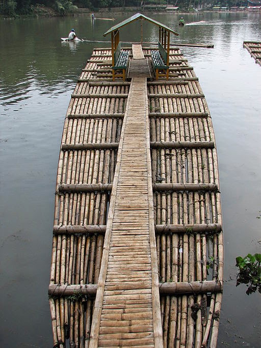 Bamboo Is Booming: The Other Grass Gaining Ground