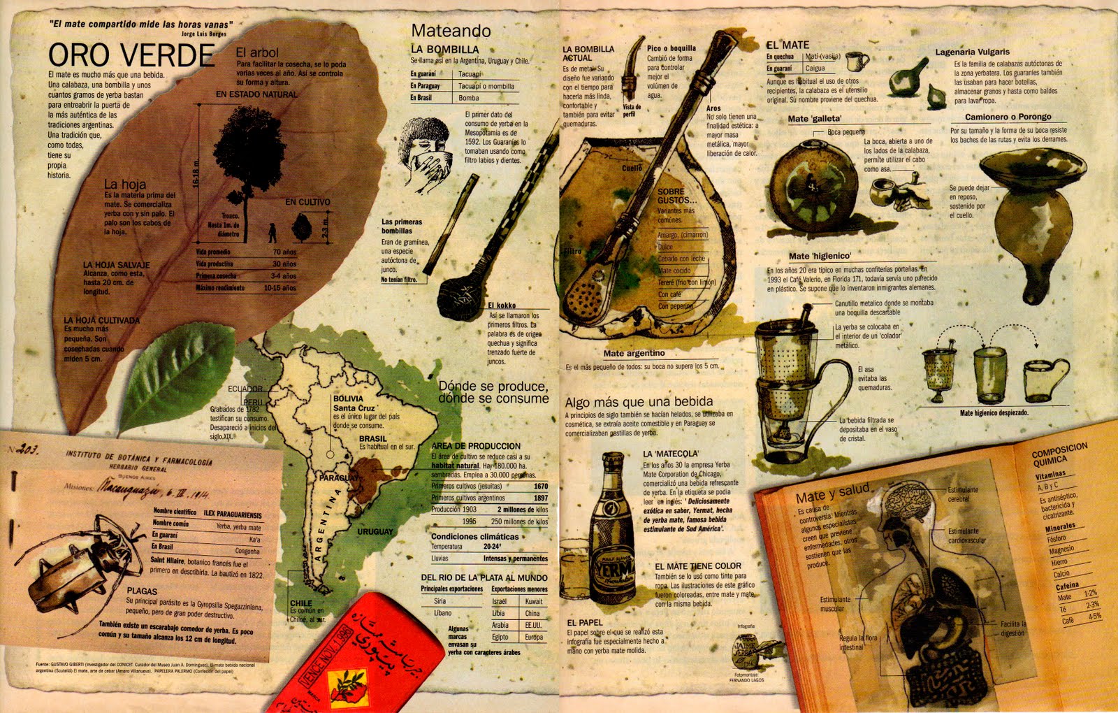 Mates & Sabores: Un poco de Historia