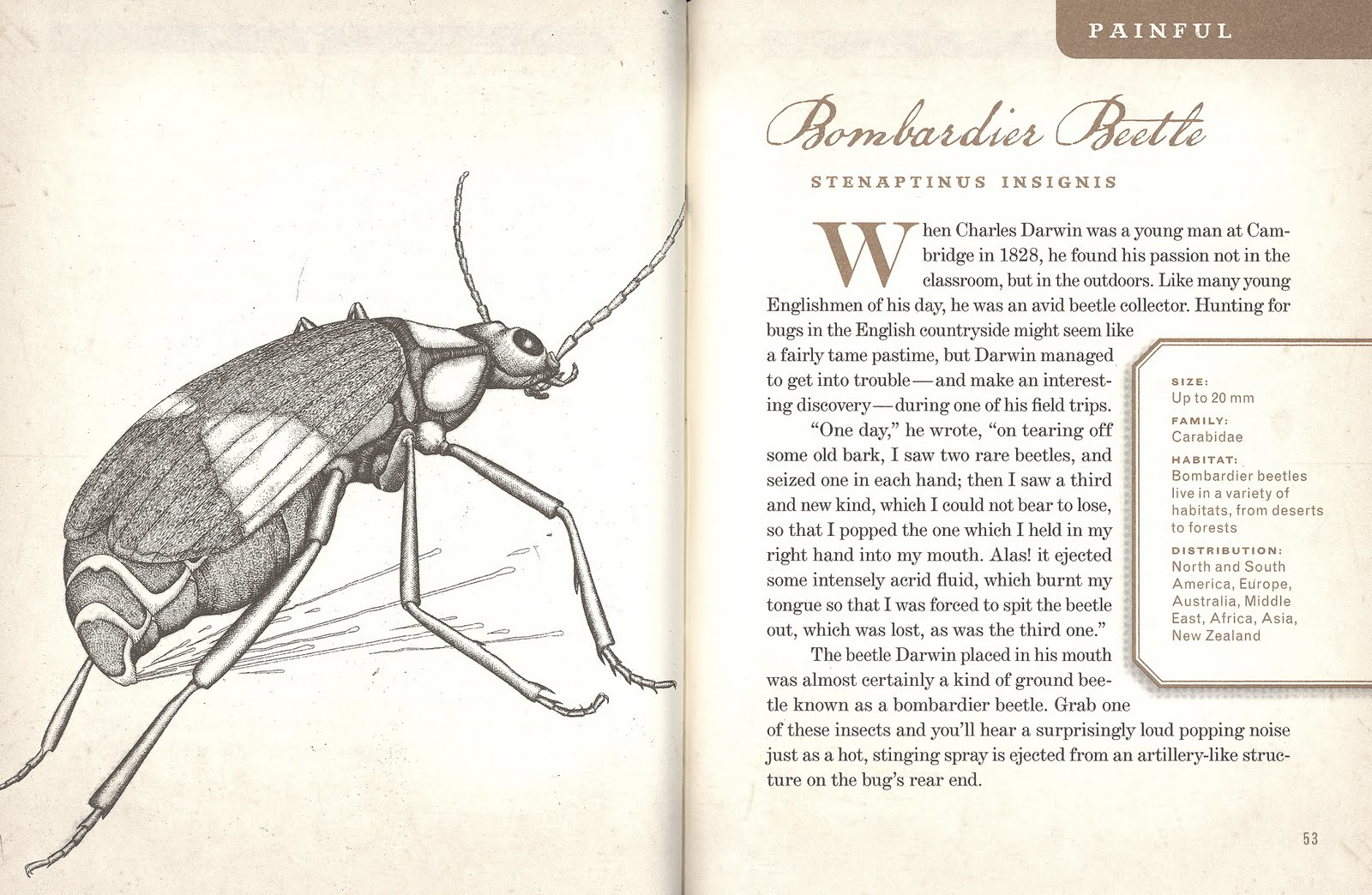 Beth Fish Reads: Imprint Friday: Wicked Bugs by Amy Stewart