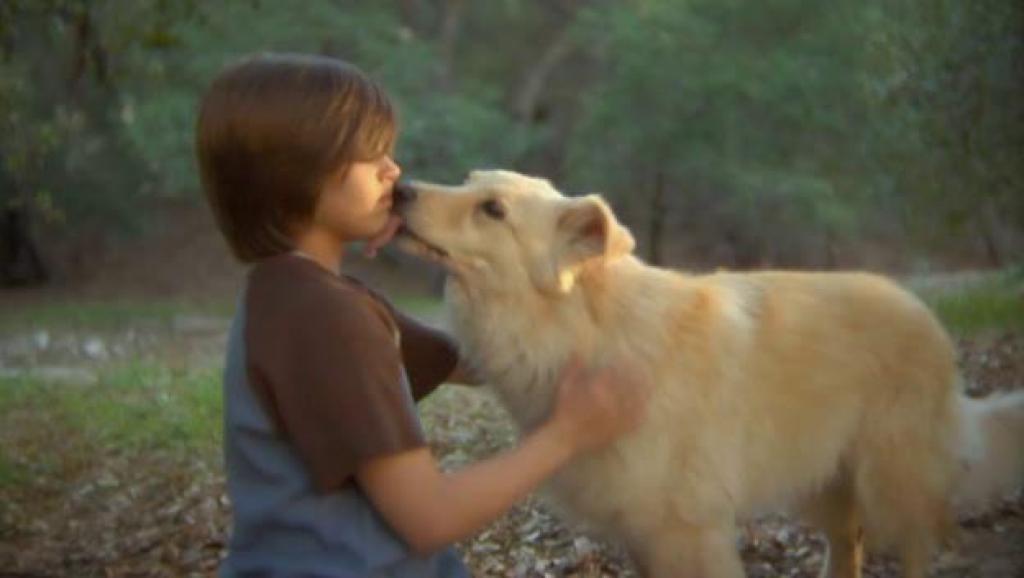 The Deadly Doll's House of Horror Nonsense: One Good Cop Dog