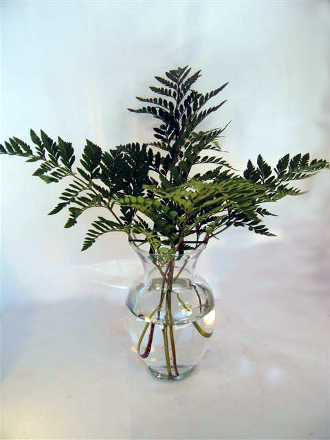 Always Wear Your Invisible Crown: How To Arrange Flowers In A Vase