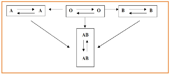 BIOLOGY LEARNING CENTER: GOLONGAN DAN TRANSFUSI DARAH
