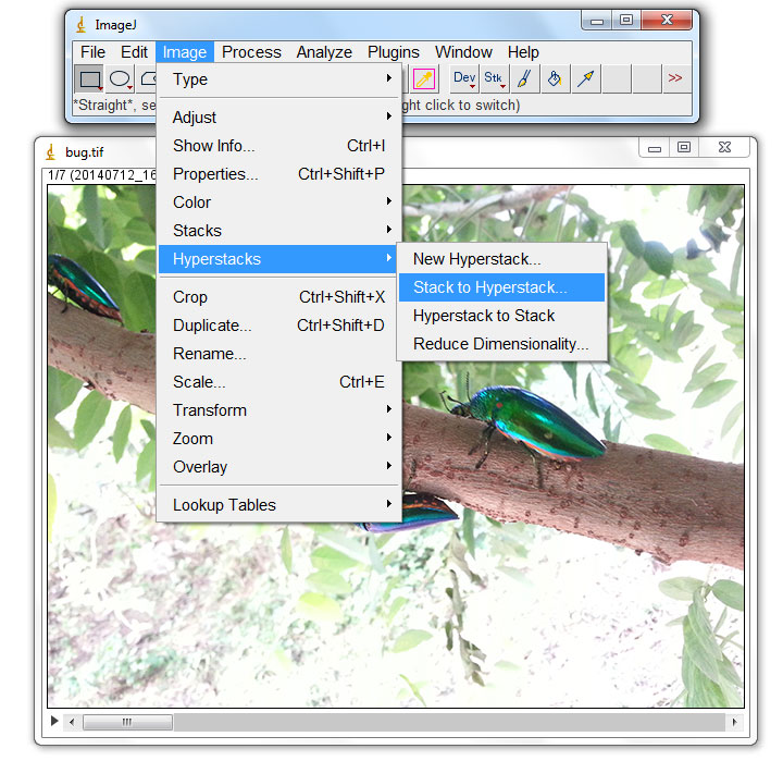 My imageJ: เมนู Image with ImageJ [ตอนที่ 47] Hyperstacks, สร้างแปลง ...