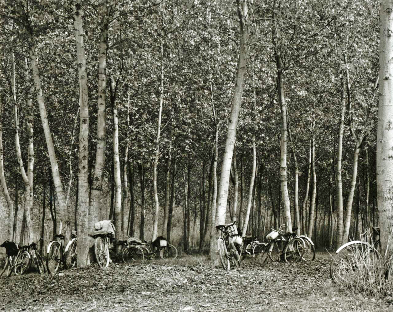 History in Photos: Paul Strand