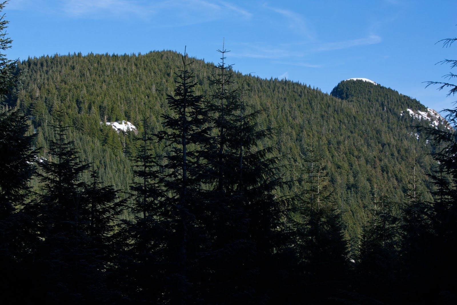 Hiking Shenandoah: Mount Teneriffe