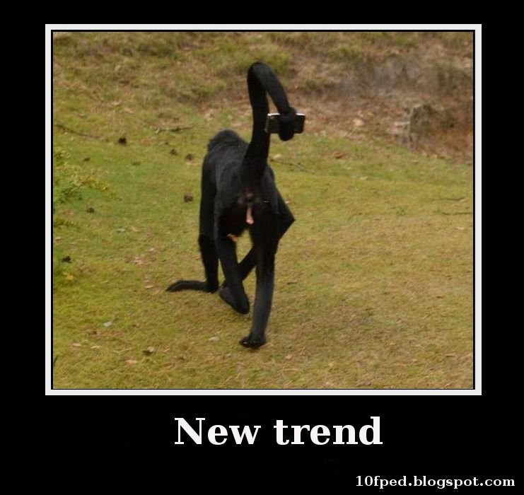 New trend | Funny pictures and videos