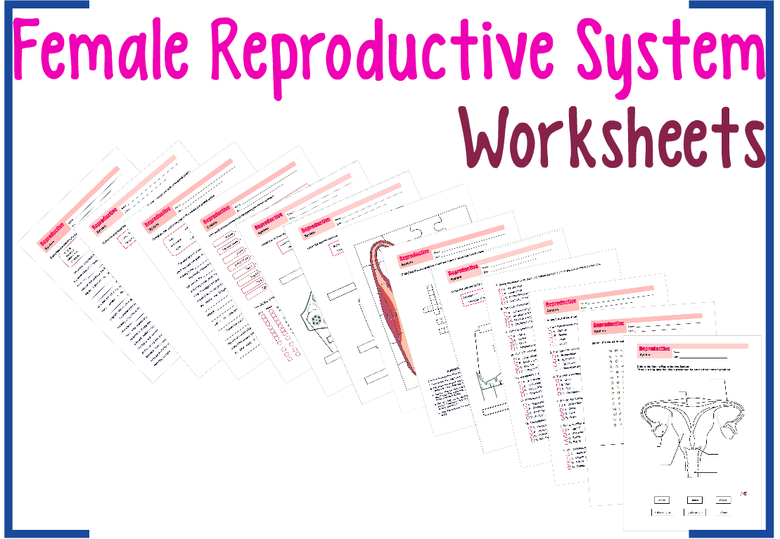 BioGeo Science Site: Female Reproductive System Worksheets