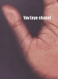 Yav Sign On The Thumb (Phoenix Eye On Thumb) Palmistry ~ INDIAN ...