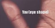 Yav Sign On The Thumb (Phoenix Eye On Thumb) Palmistry ~ INDIAN ...