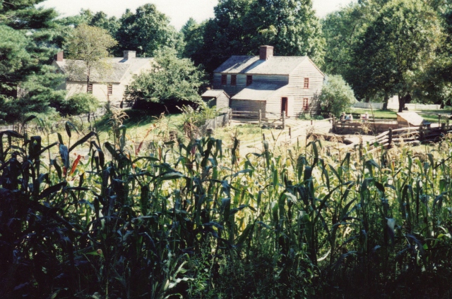 Colonial Quills: A Harvest of Corn