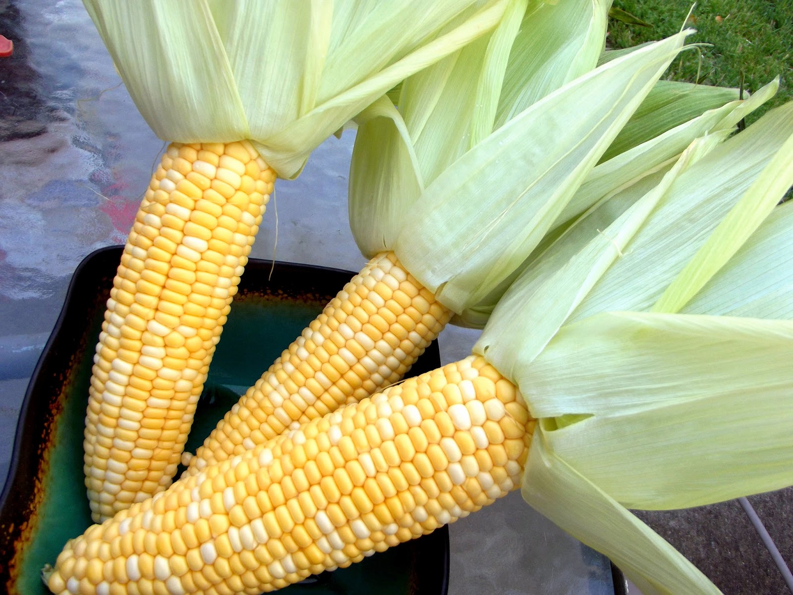 Wild Blumes: Best Corn You've Never Had!