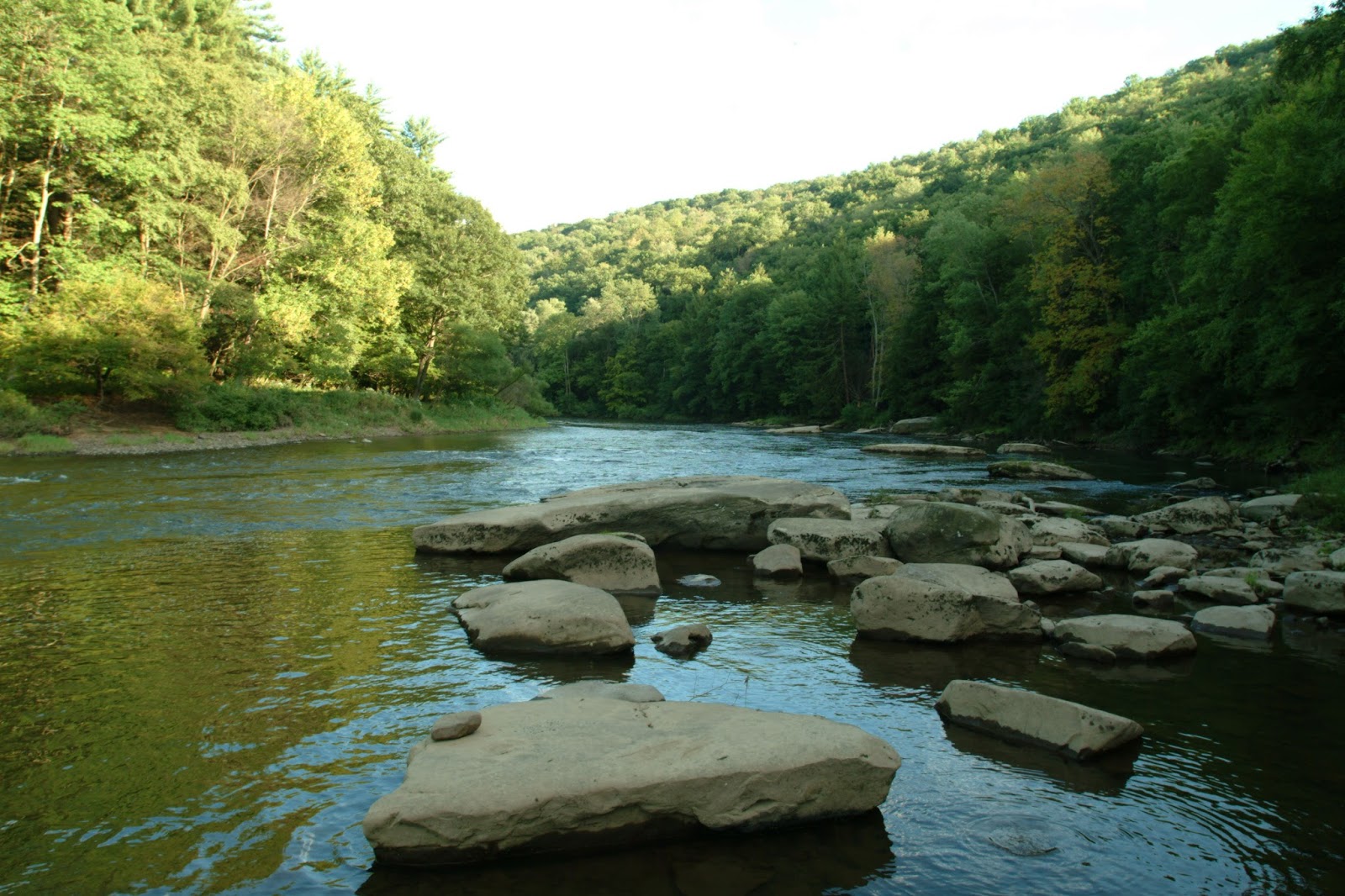 Central Pennsylvania Forestry: Planning the Future of the Forest ...