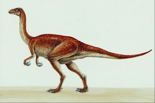 Segnosaurus | BIOLOGIPEDIA