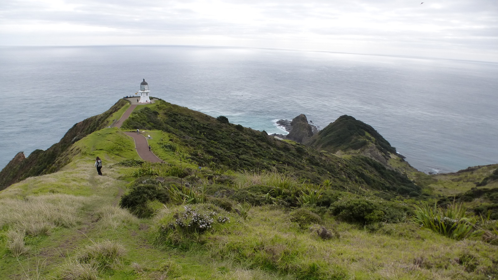 Adventures in New Zealand: Cape Reinga