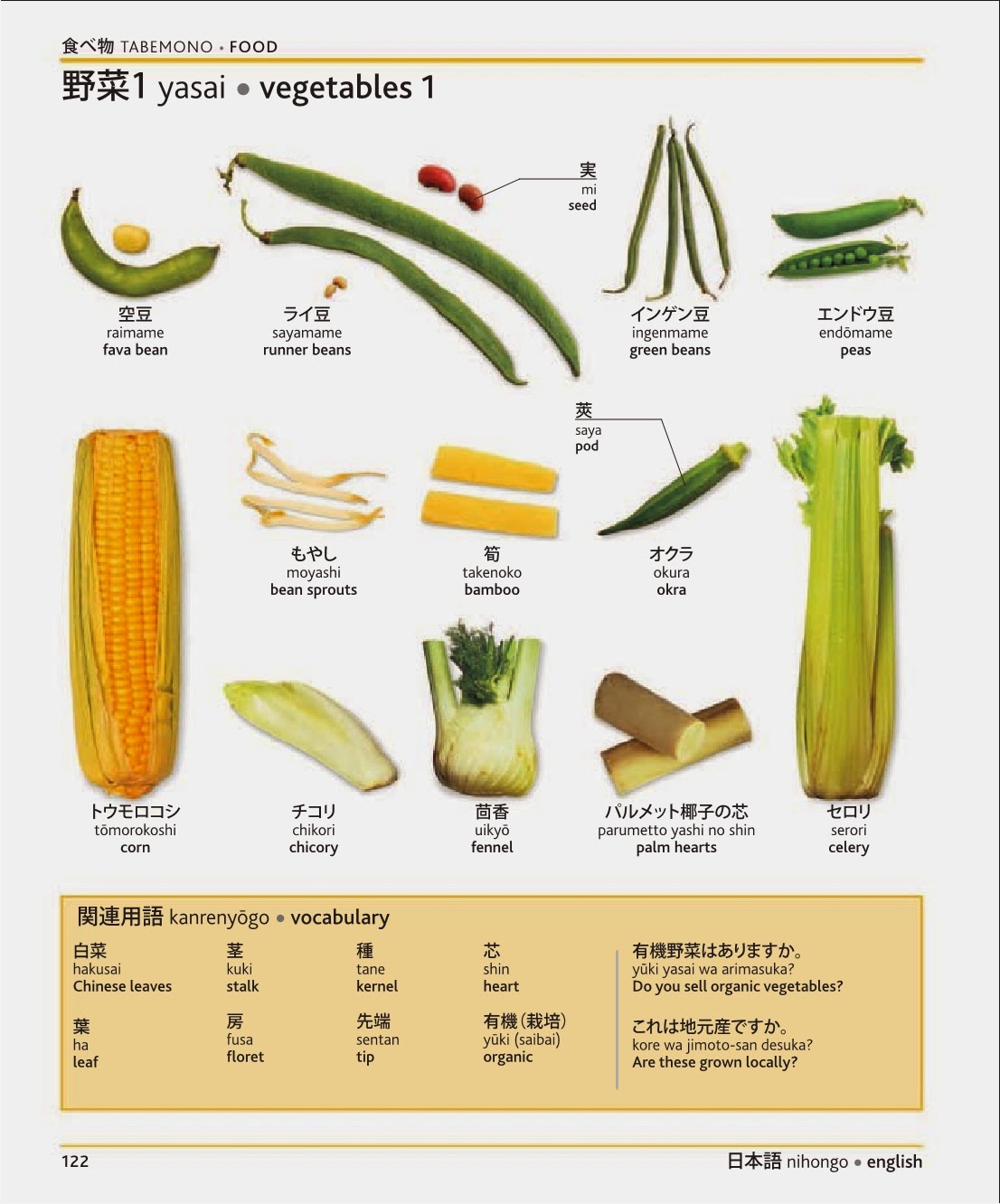 食べ物 tabemono Food - Japanese For Beginners