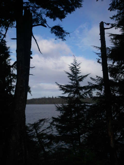 Living with Henry and Sullivan: August 2011