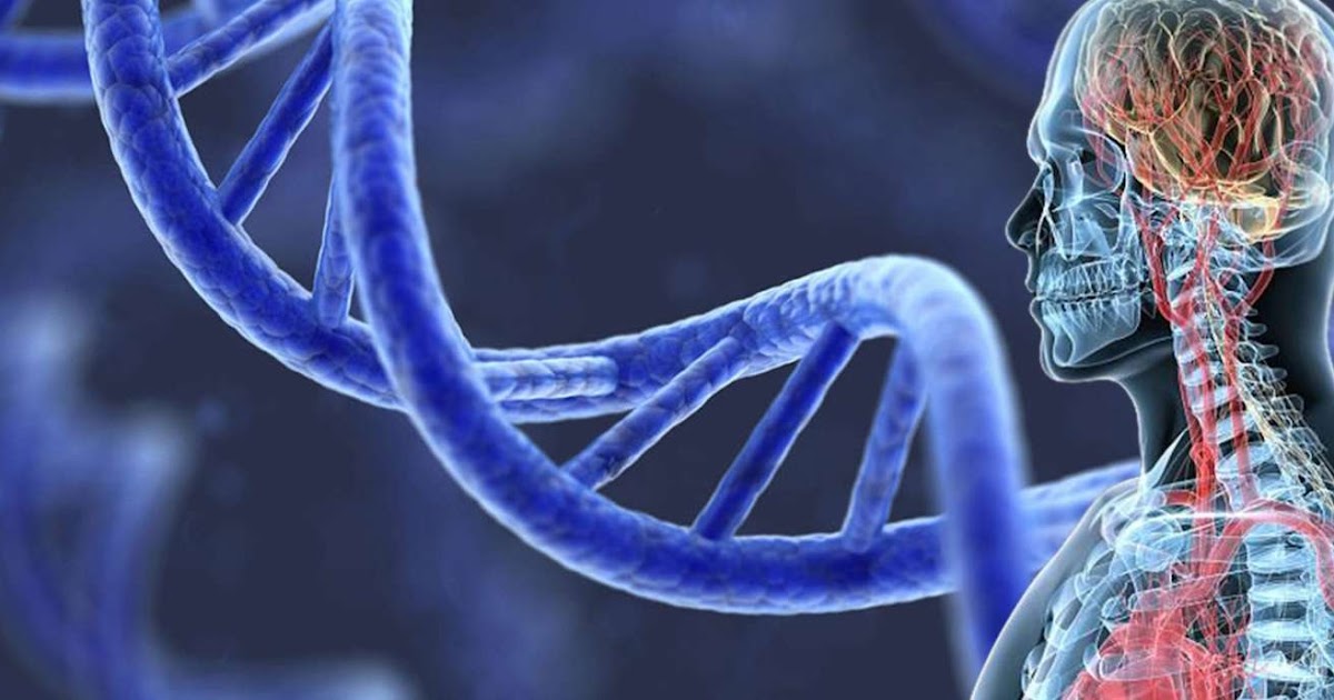 Fisiologia em Ação: Fisiologia e sua importância na área da saúde