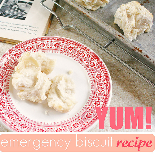 the rikrak studio: scrumptious: yummy emergency biscuits recipe with ...