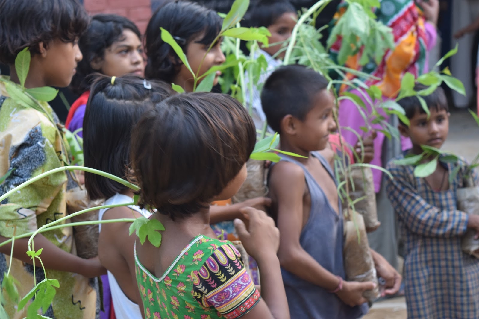 For a Change, Defend-2015 : Tree Plantation Day on July 1st