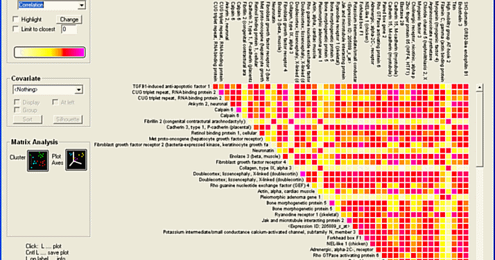Mapping the globe: Similarity matrix