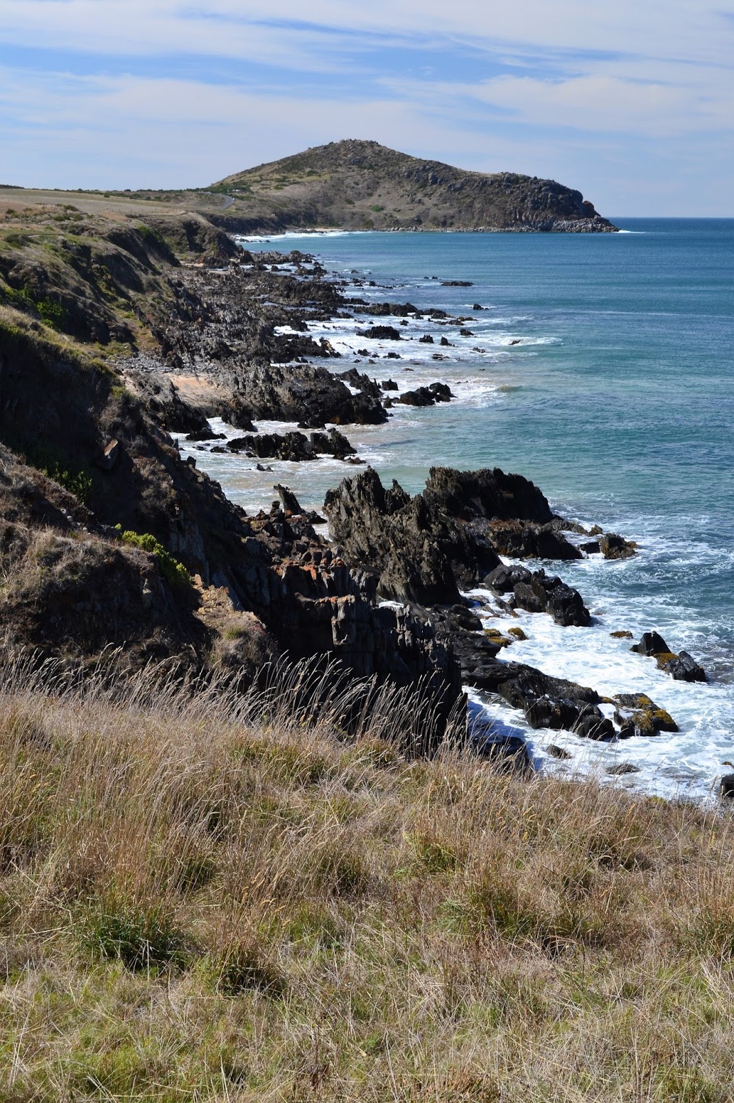 Goin' Feral One Day At A Time: Waitpinga Cliffs, Heysen Trail, Newland ...