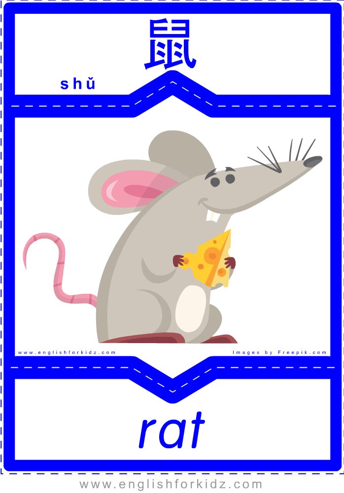 English-Chinese Flashcards: Wild Animals. Part 4.