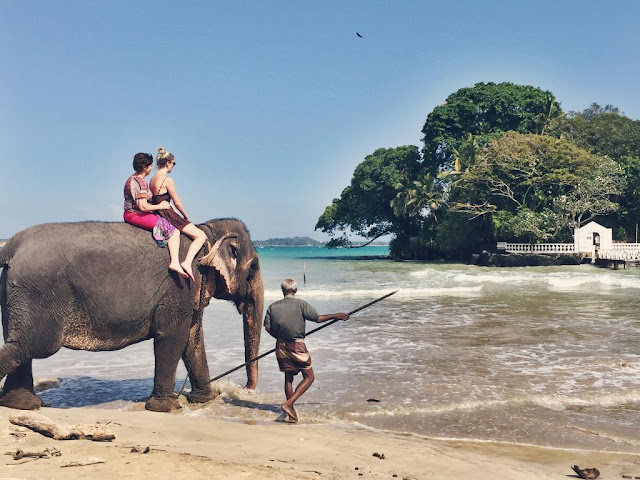 Taprobane Island | Ganduwa Island, Weligama | Visit Weligama