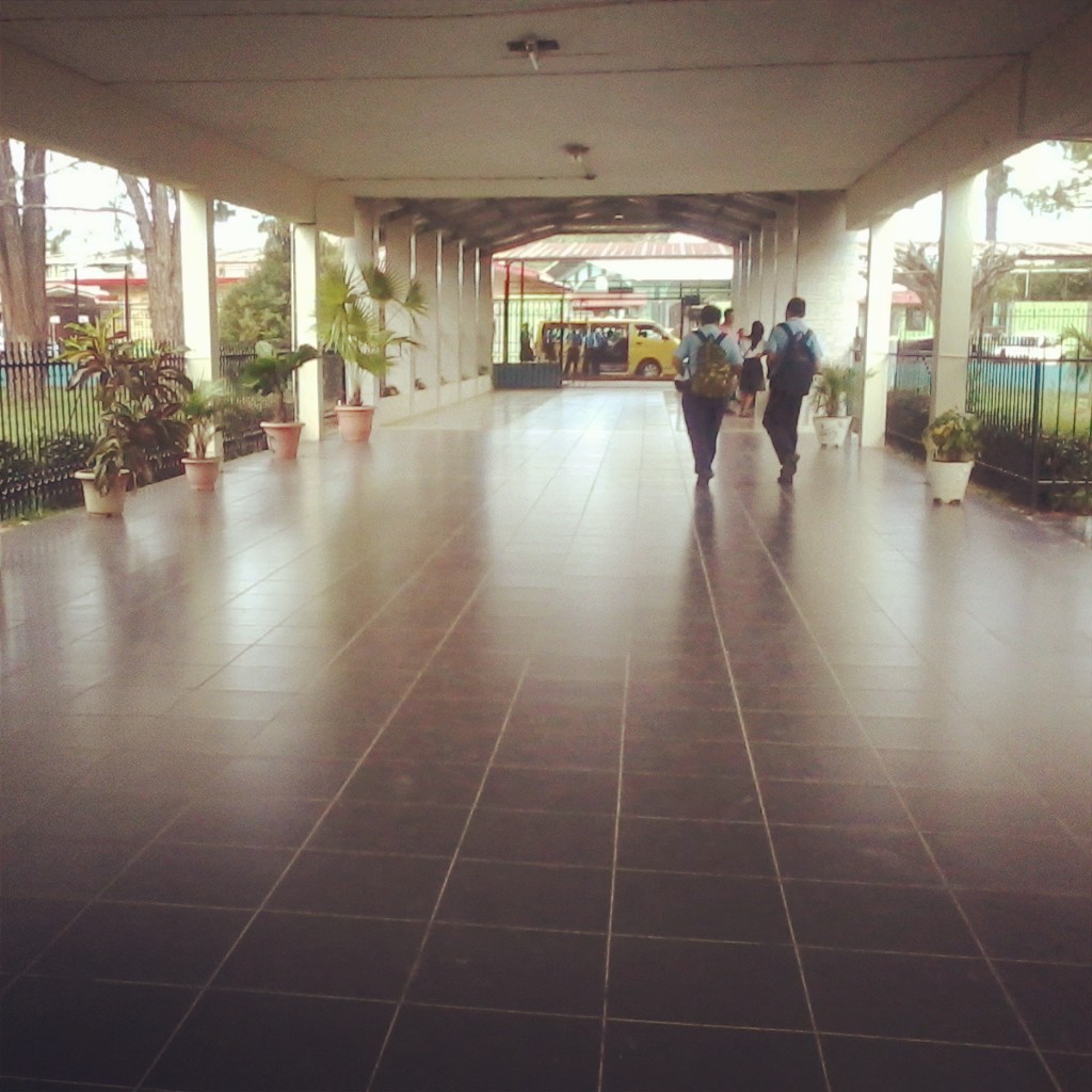 50 Años del Instituto David