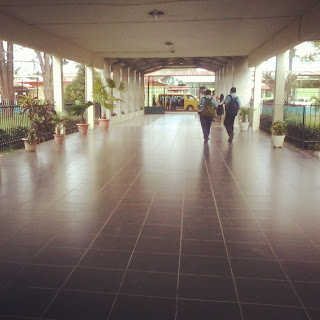 50 Años del Instituto David