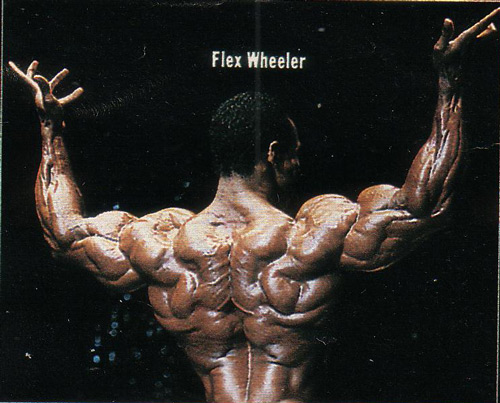 Sports Stars World: Flex Wheeler Info & Pics