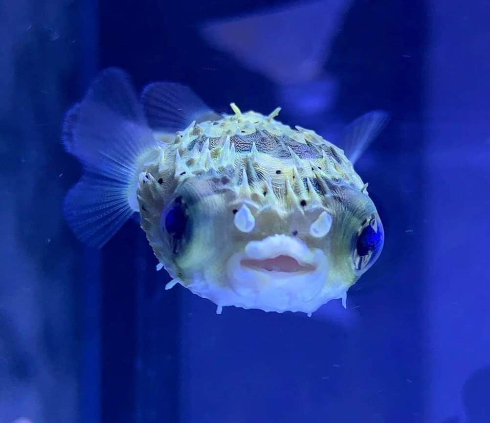 Inland Northwest Business Watch: A look at Spokane's first indoor ...