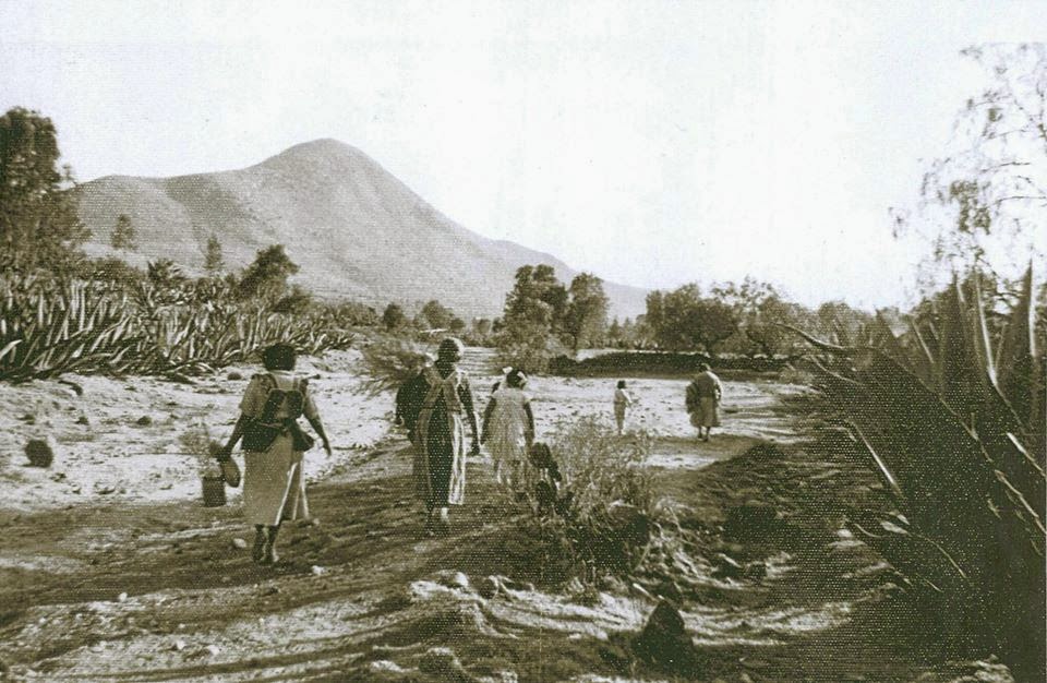 Cuautepec ~ Desarrollo Sustentable