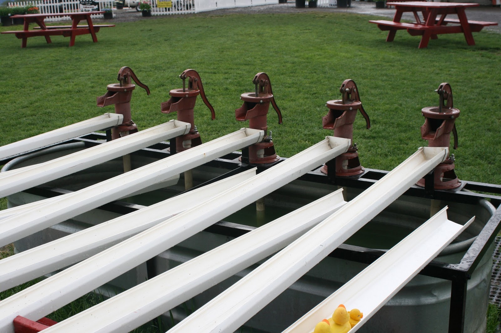 The Learning Landscape: Play Water Pump Races