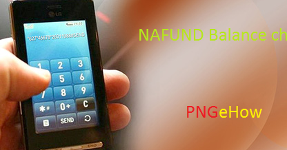 How to use Mobile Phones to Check NASFUND Balance - Tech Pacific