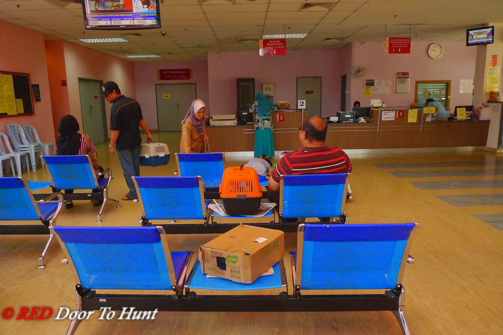 RED Door To Hunt: Burung Tukang Kelabu~Caprimulgus indicus ( Grey ...