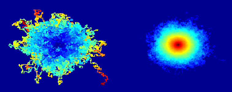 Fun With Self Avoiding Walks Simulations