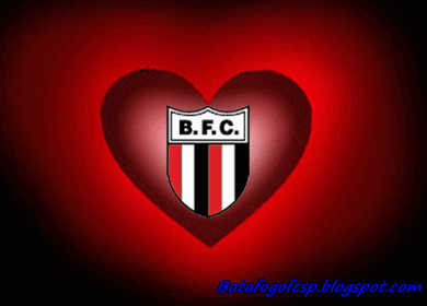 BOTAFOGO FC: junho 2017