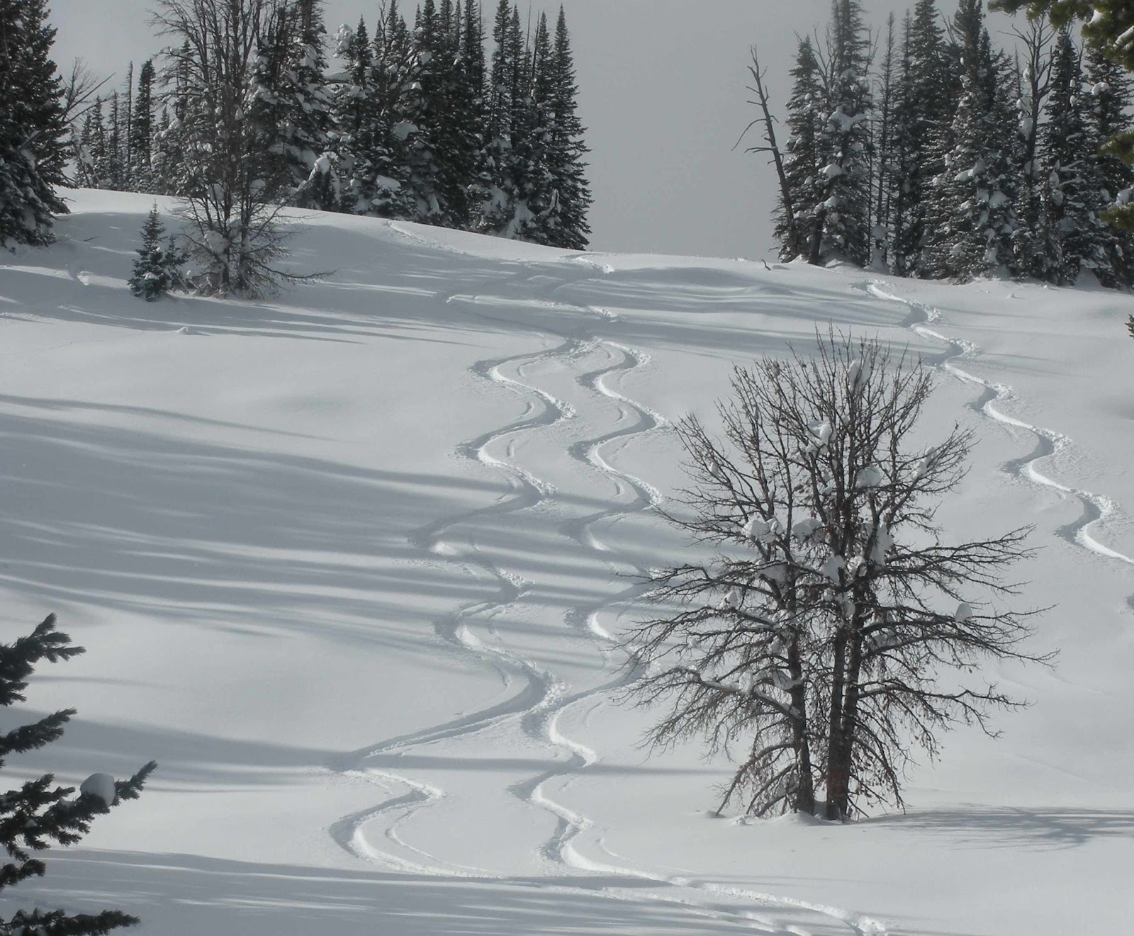 Ann Vinciguerra: Types of Snow - How Many Have You Skied?