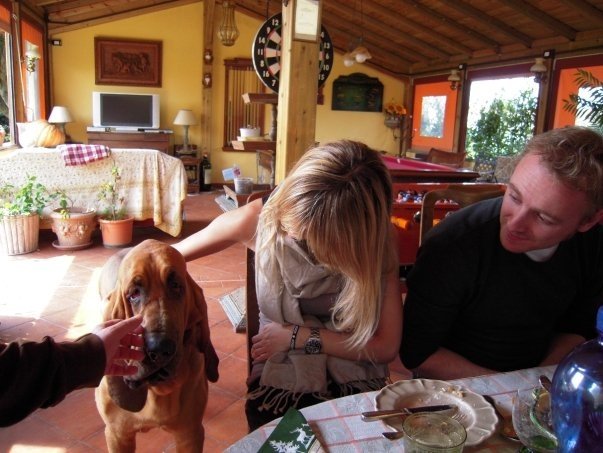 Sempre Meglio: DIARIO DI UN GIOVANE SPOSO - Risiko Wedding