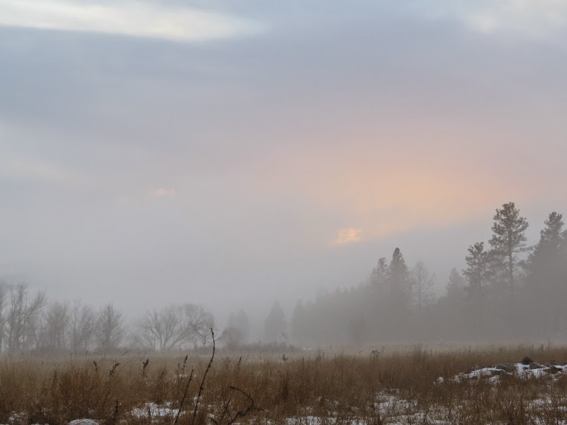 The Cranbrook Guardian: One Misty, Moisty Morning